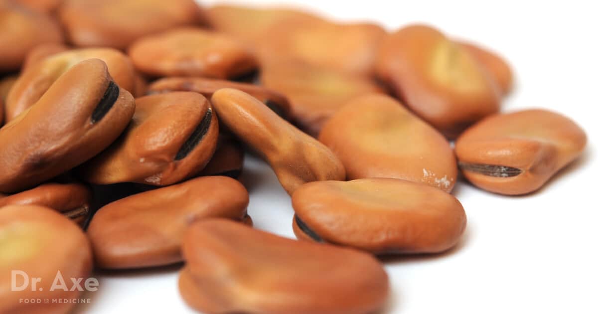 Fava Bohnen Vorteile, Ernährung, Rezepte und Nebenwirkungen - Dr.med ...