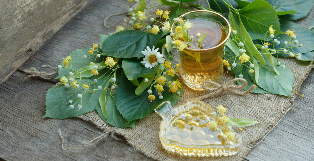 Linden Tee Vorteile, Verwendungen, Nebenwirkungen und wie man es macht ...